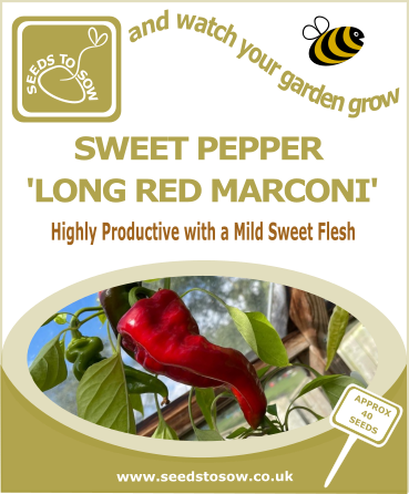 Sweet Pepper Long Red Marconi - Seeds to Sow