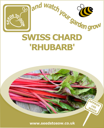Swiss Chard Rhubarb - Seeds to Sow