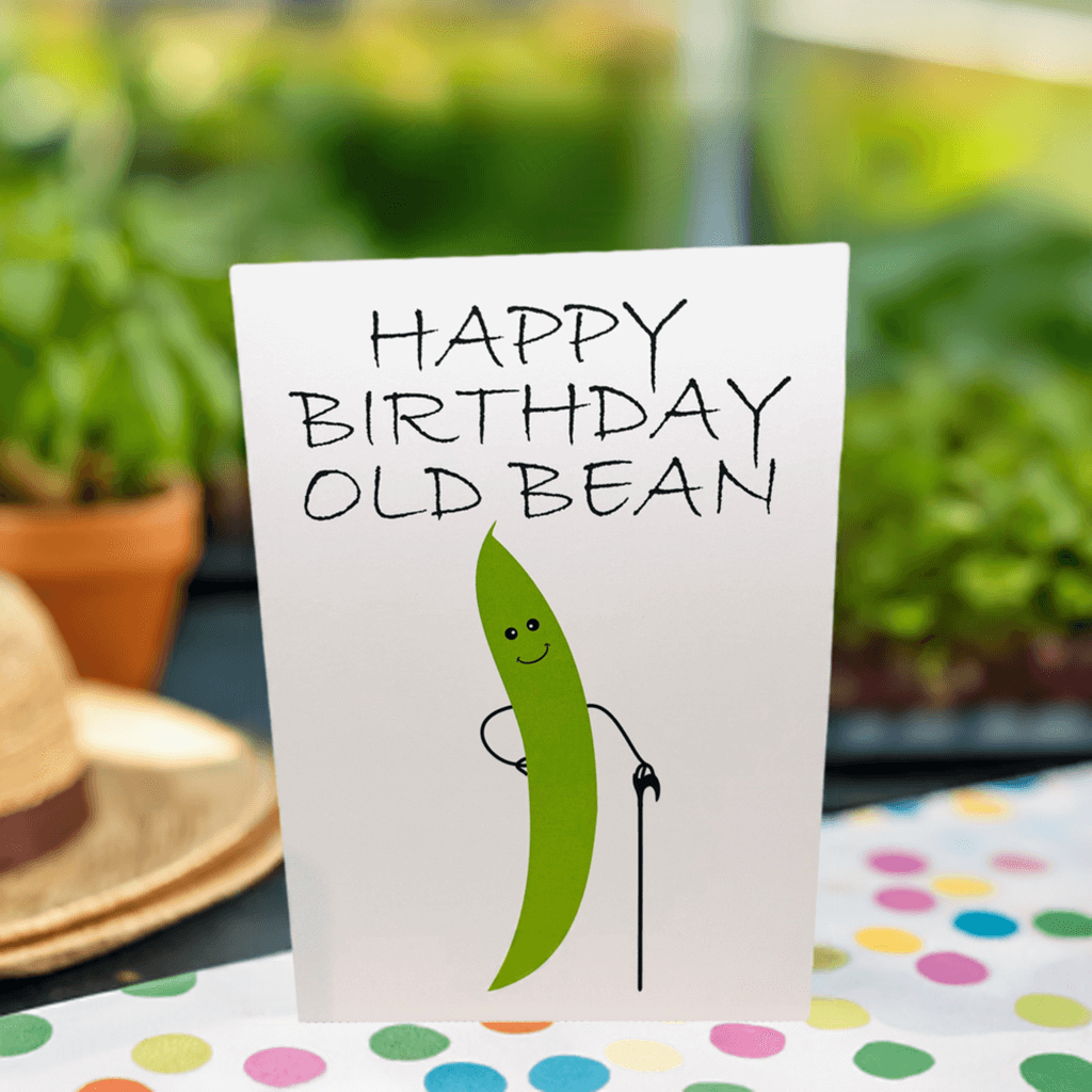 Birthday Card - Happy Birthday Old Bean