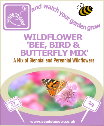 Wildflower - Bee, Bird and Butterfly Mix - Seeds to Sow