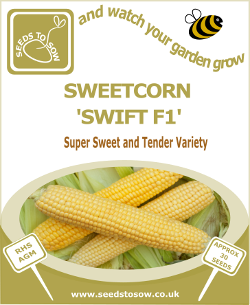 Sweetcorn Swift F1 - Seeds to Sow