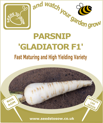 Parsnip Gladiator F1 - Seeds to Sow
