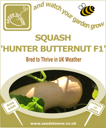 Squash Butternut Hunter F1 - Seeds to Sow