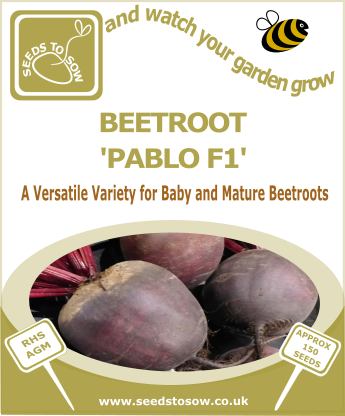Beetroot Pablo F1 - Seeds to Sow