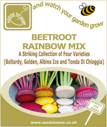 Beetroot Rainbow Mix - Seeds to Sow
