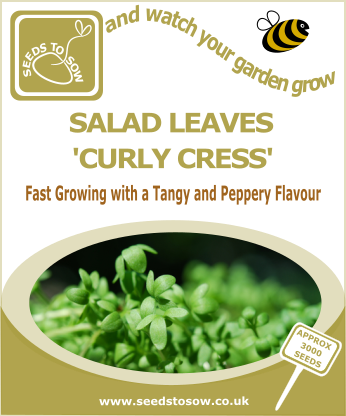 Salad Leaves Curly Cress - Seeds to Sow