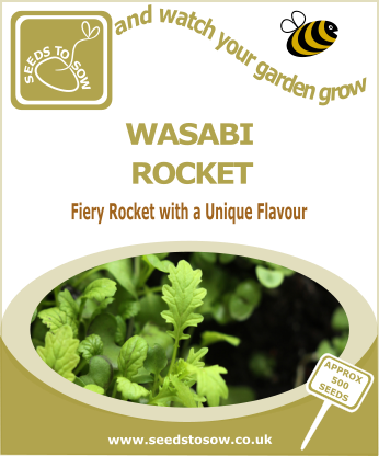 Salad Leaves Wasabi Rocket - Seeds to Sow