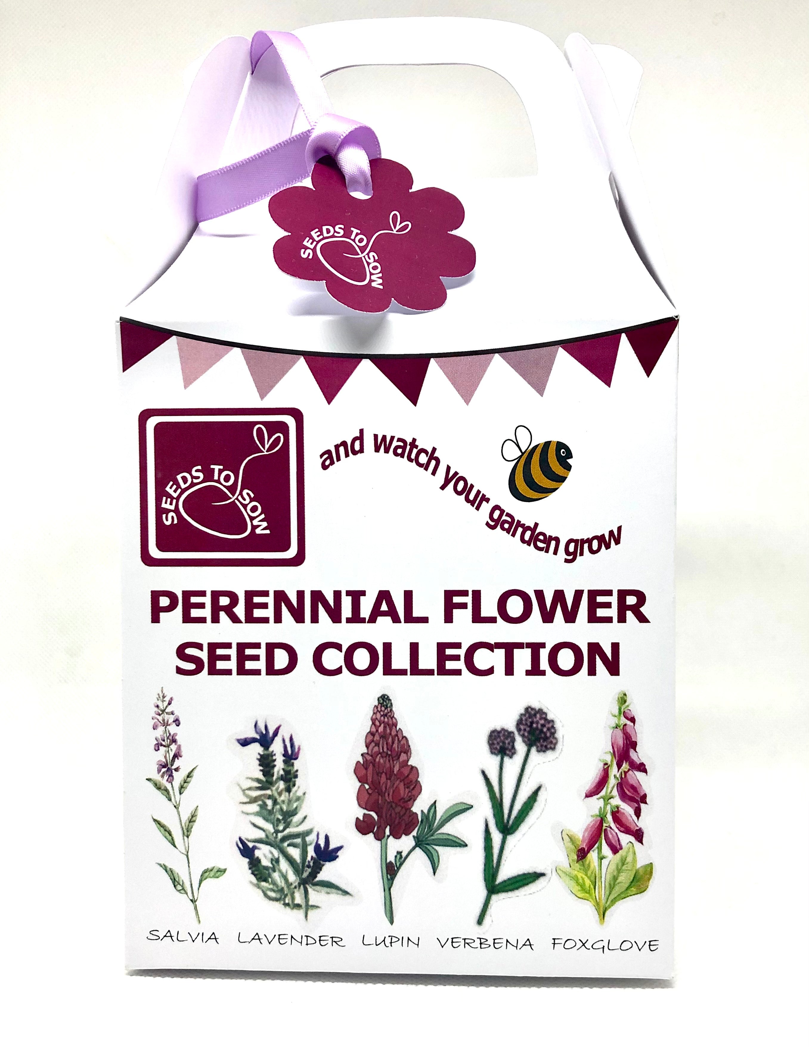Seeds to Sow - Perennial Flower Seed Collection - Seed Gift Box
